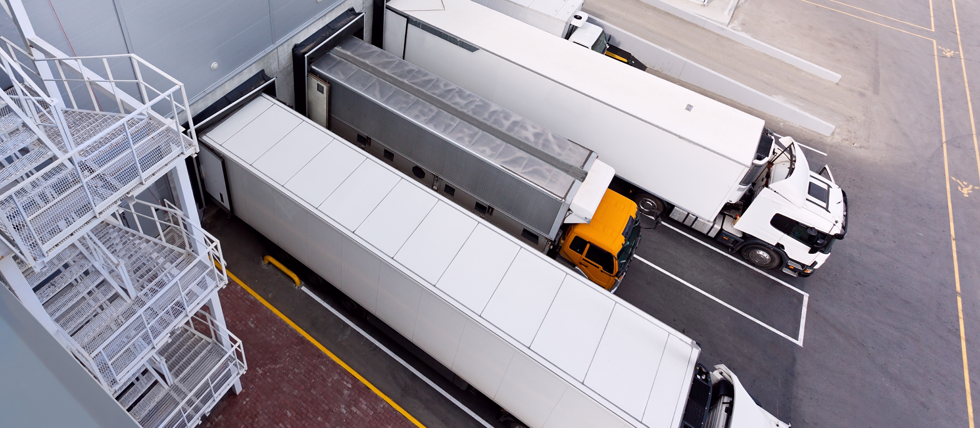 Distribuție - Pro Packing